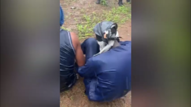 FCT Police Smash Abuja Kidnap Ring - NTA